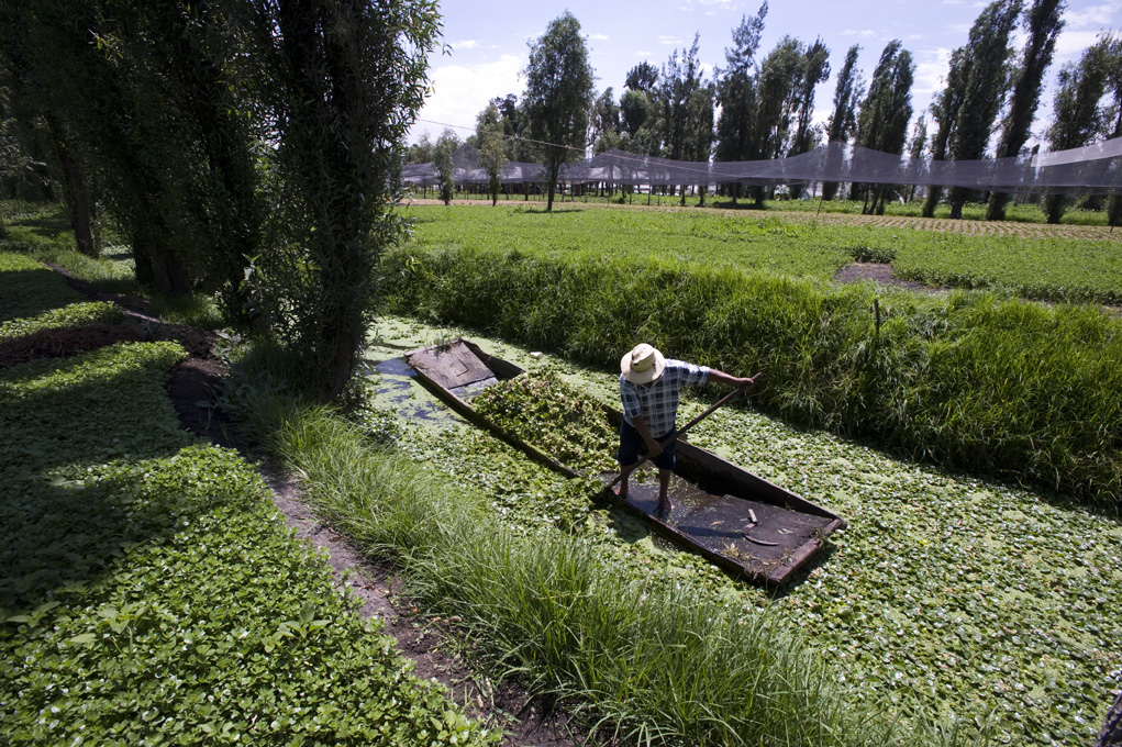 Las chinampas - Mexicanísimo