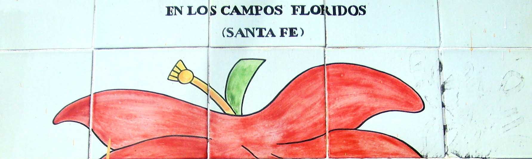 Topónimos en náhuatl – Mexicanísimo