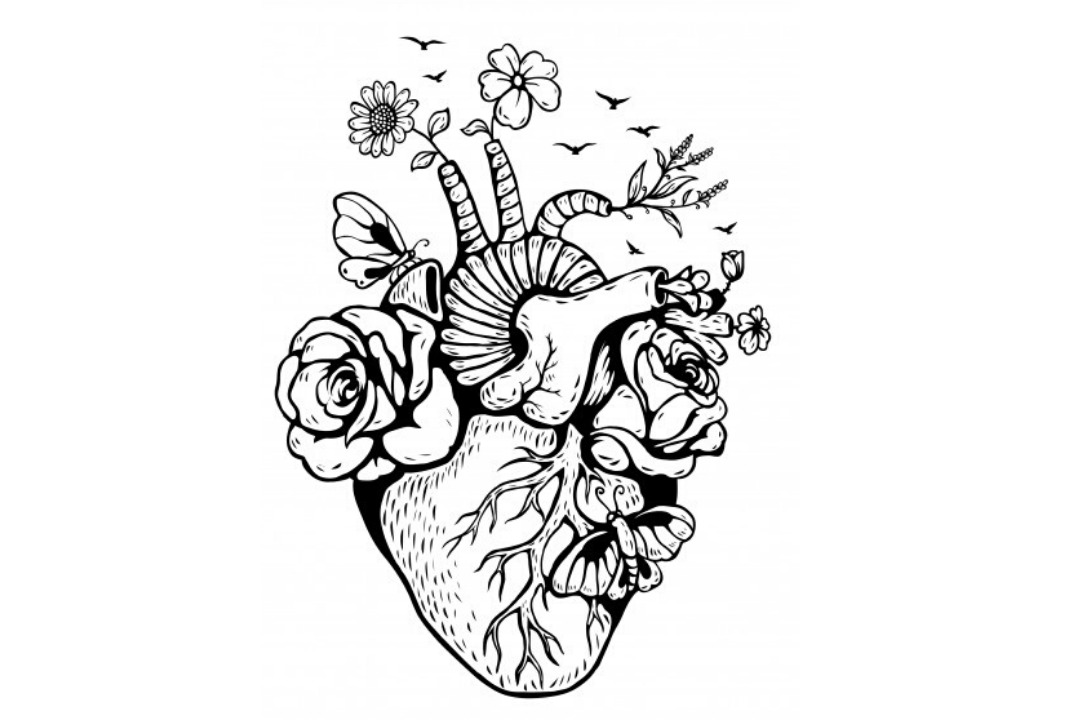 La lingüística del “corazón” – Mexicanísimo