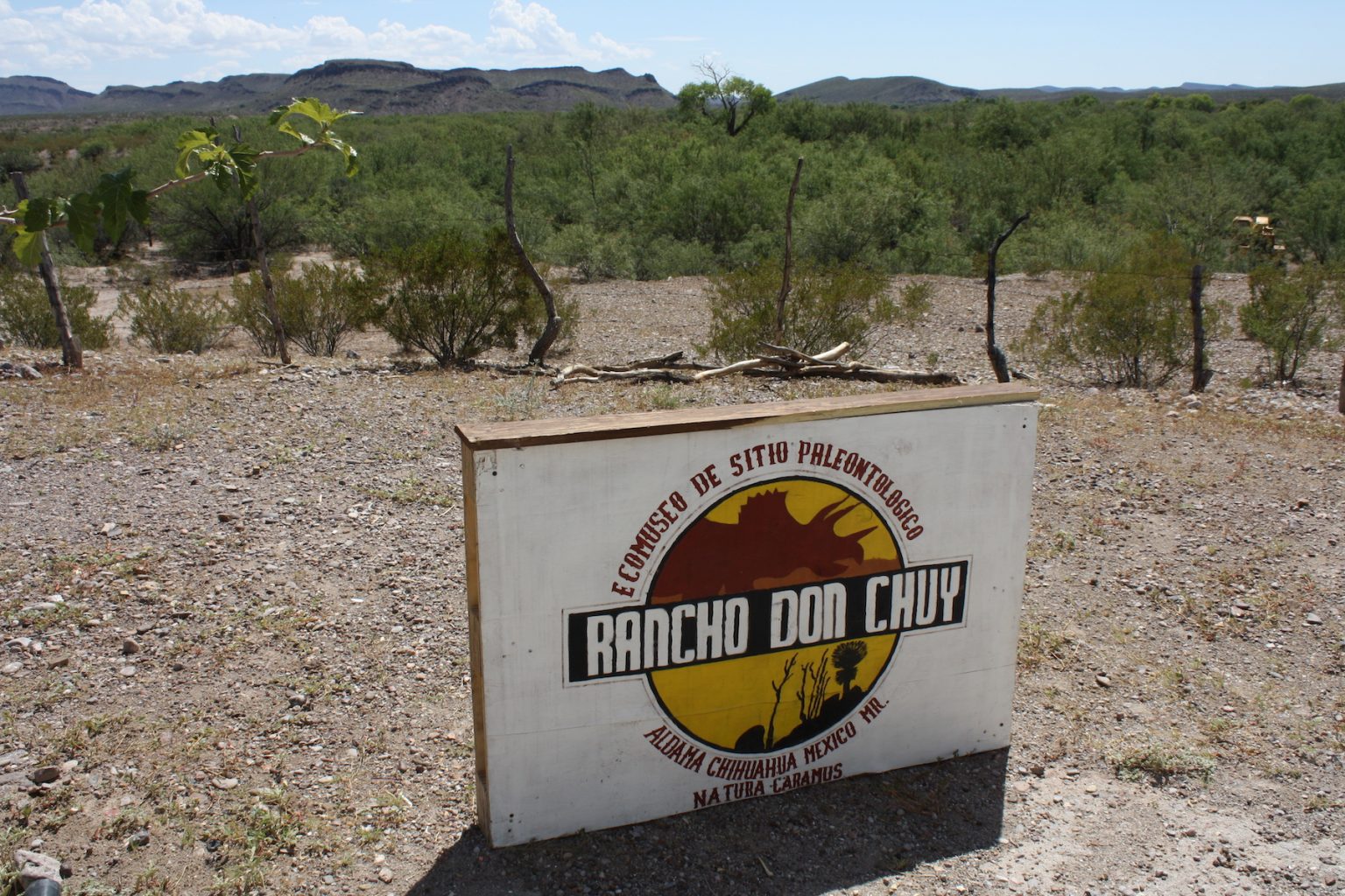«El tesoro prehistórico de Rancho Don Chuy: Un recorrido emocionante ...